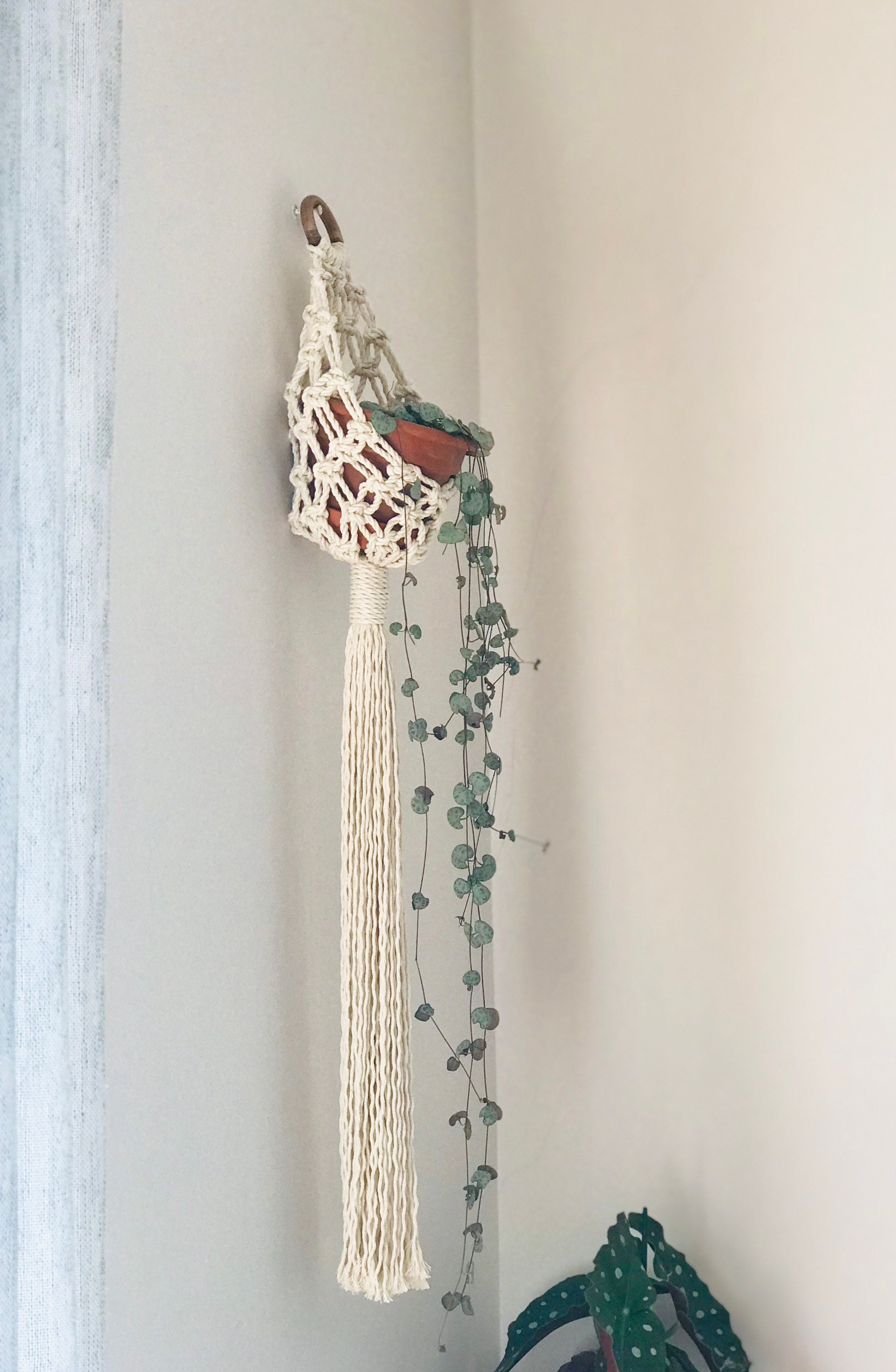 PDF Pattern Macrame Pod Planter Macrame Plant Hanger - Etsy Canada