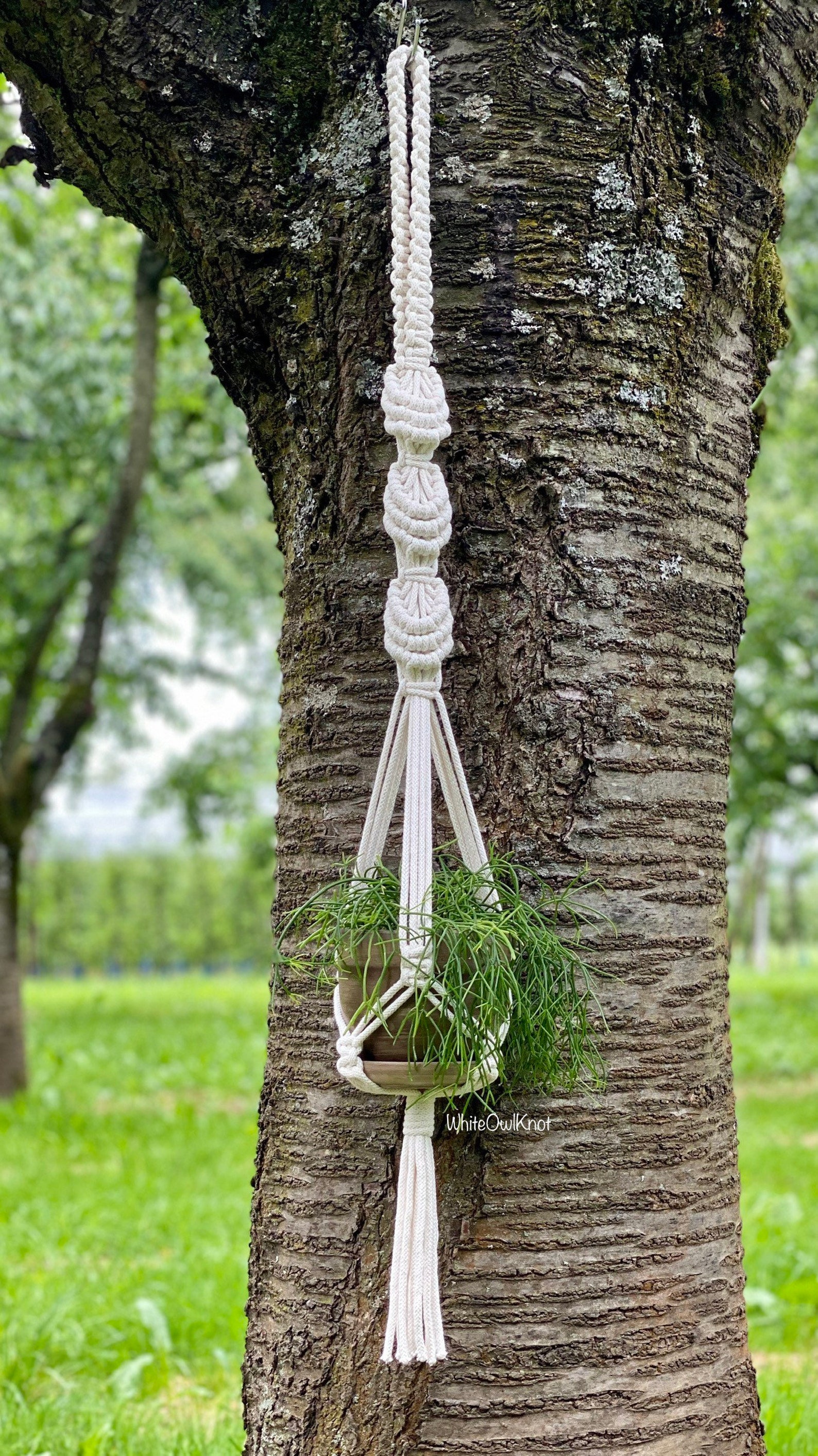 DIY Macrame Plant Hanger PDF Pattern, Shells Hanging Planter Tutorial ...