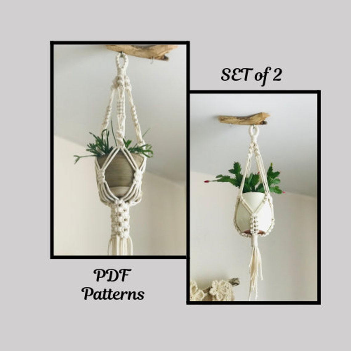 Set of Two Macrame Plant Hanger Pattern Plants Lover Gift - Etsy