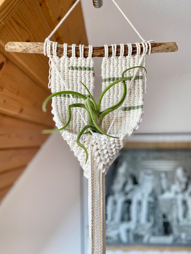 PDF Macrame Air Plant Holder Pattern Macrame Plant Hanger - Etsy