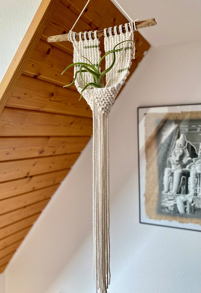 PDF Macrame Air Plant Holder Pattern Macrame Plant Hanger - Etsy