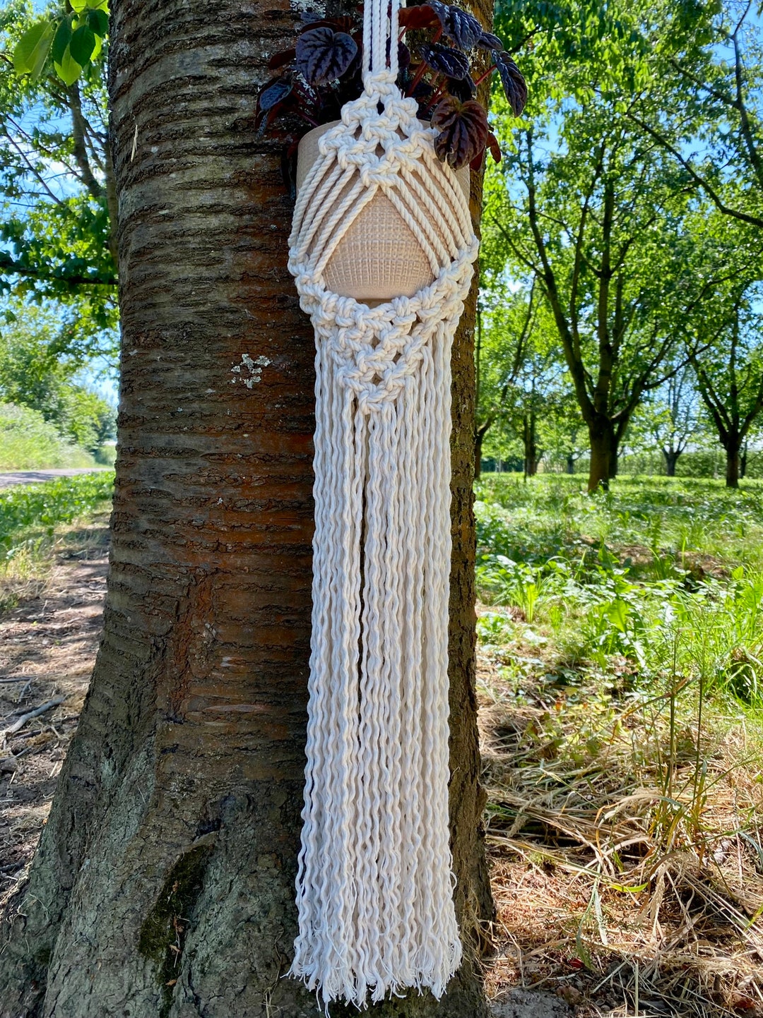 PDF Pattern Macrame Plant Hanger Rhombus Plant Hanger DIY - Etsy