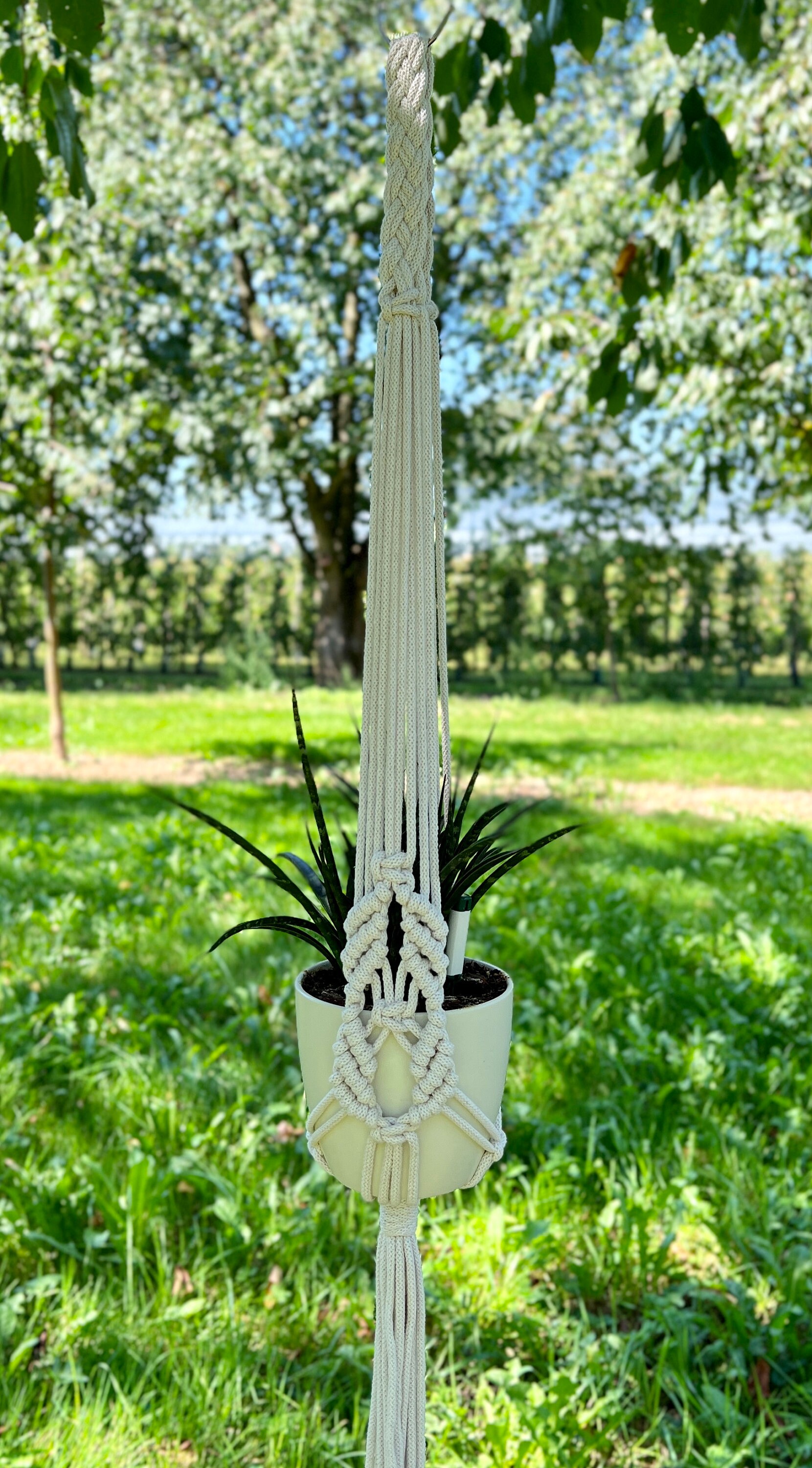DIY Macrame Plant Hanger Pattern: Create Your Own Stunning Diamond ...