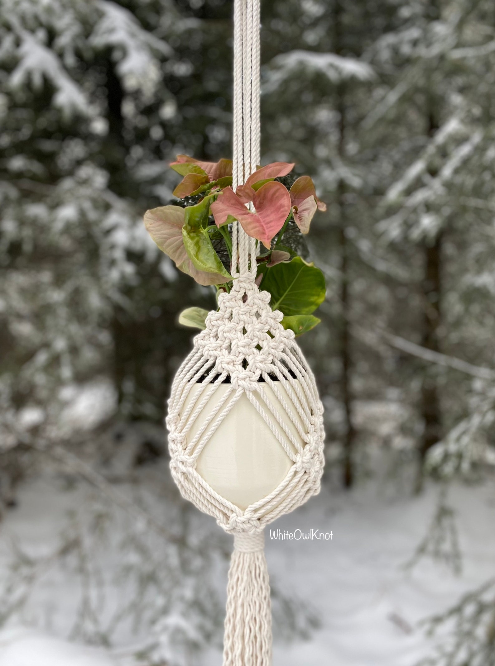 PDF Pattern Macrame Plant Hanger Rhombus Plant Hanger DIY | Etsy