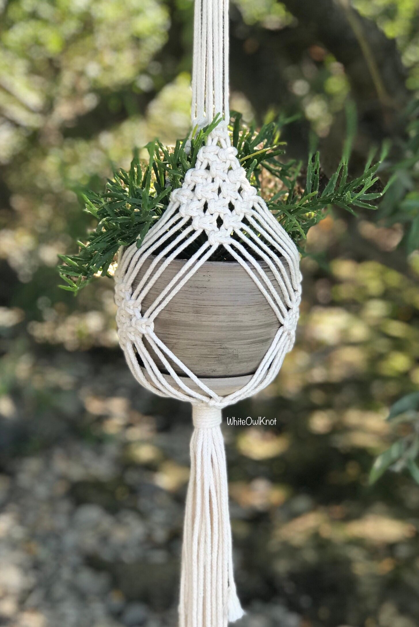 PDF Pattern Macrame Plant Hanger Rhombus Plant Hanger DIY - Etsy
