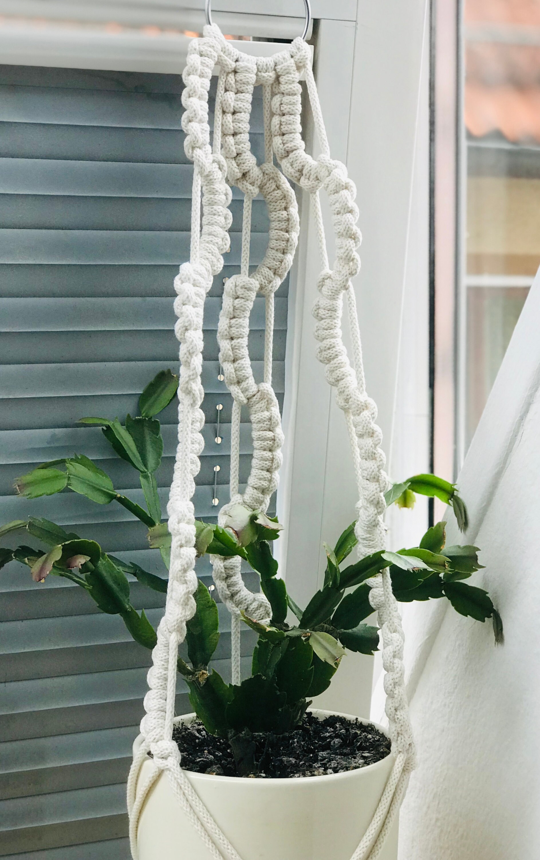 Macrame Plant Hanger PDF Pattern Macramé Pattern Beginner - Etsy