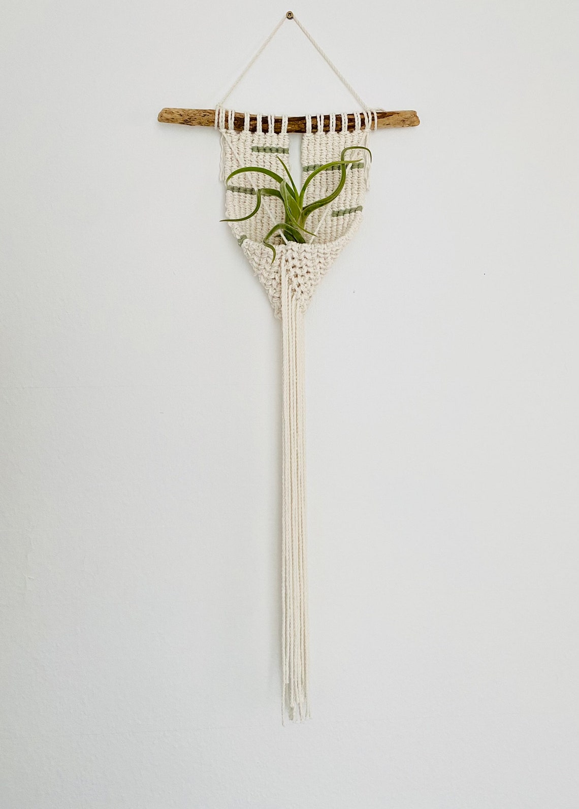 PDF Macrame Air Plant Holder Patternset of 2 Macrame Plant - Etsy