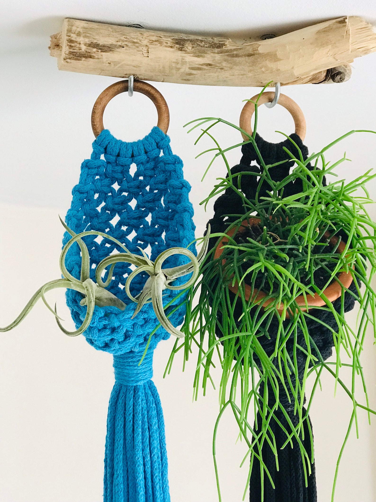 PDF Pattern Macrame Pod Planter Macrame Plant Hanger - Etsy