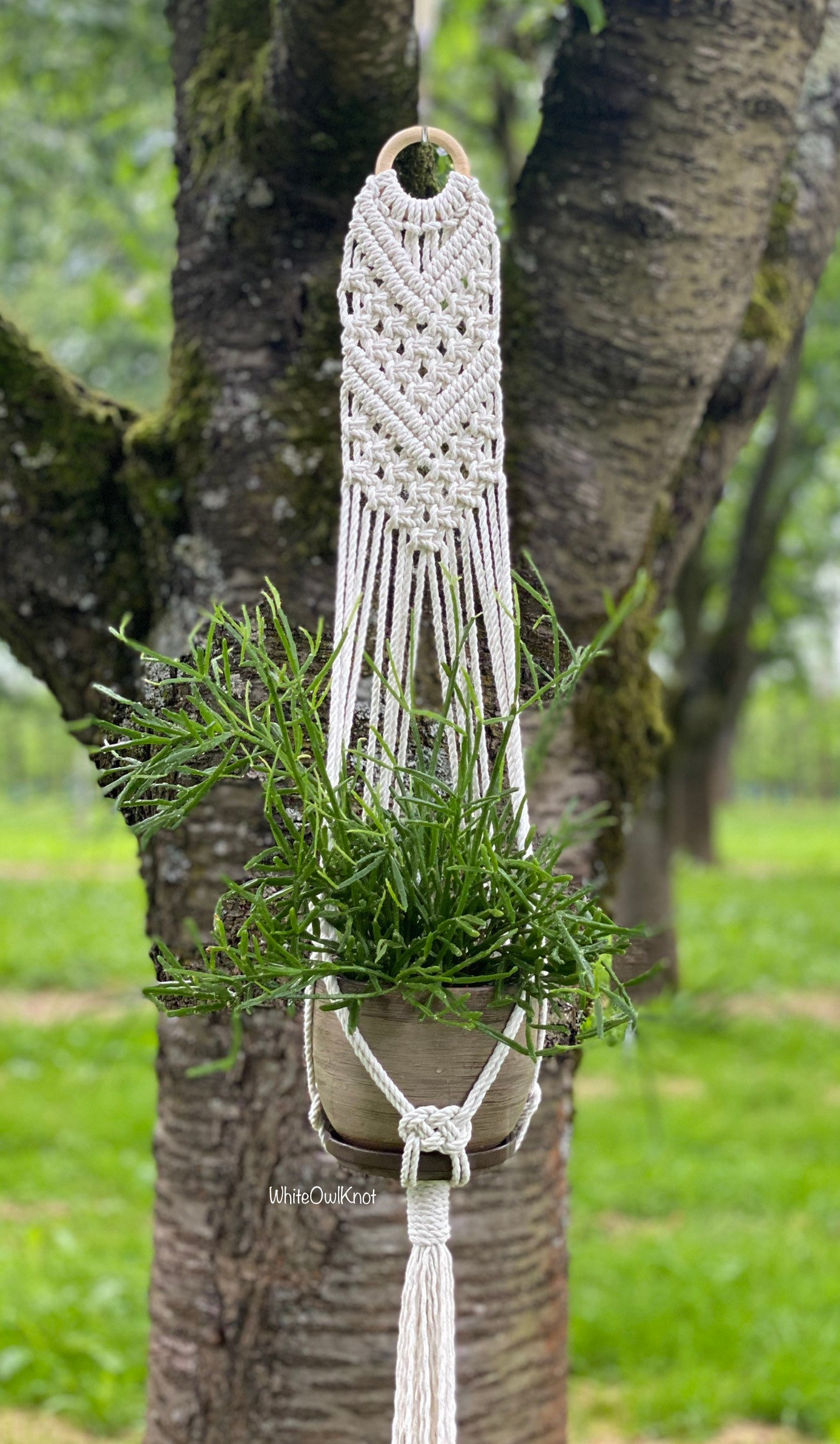 DIY Macrame Plant Hanger Geometric Wall Plant Hanger PDF - Etsy