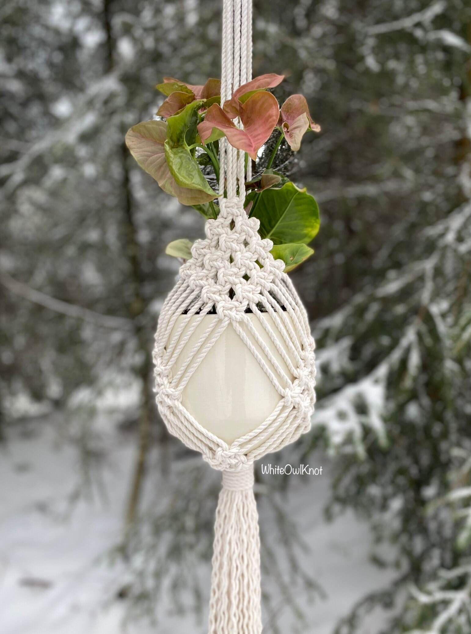 4 Macramé Plant Hanger DIY Patterns - Transform Terrace and Balcony ...