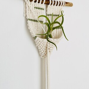 PDF Macrame Air Plant Holder Pattern,set of 2 Macrame Plant Hanger ...