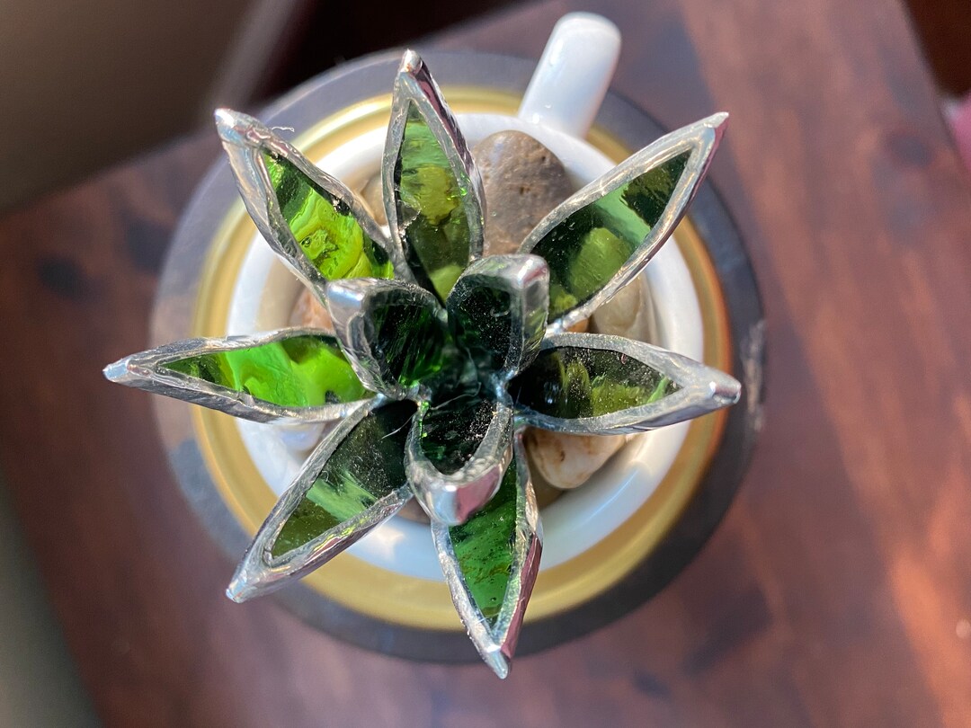 Small 3D Stained Glass Spiky Agave Aloe | Plant Only - Etsy