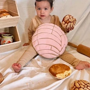 Pre-order PINK Concha Kids Costume, Concha Costume, Pandulce, Concha ...