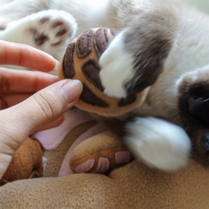 Concha Bread Cat Toys Organic Catnip Toys, Pan Dulce Concha Catnip Cat ...