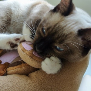 Concha Bread Cat Toys Organic Catnip Toys, Pan Dulce Concha Catnip Cat ...