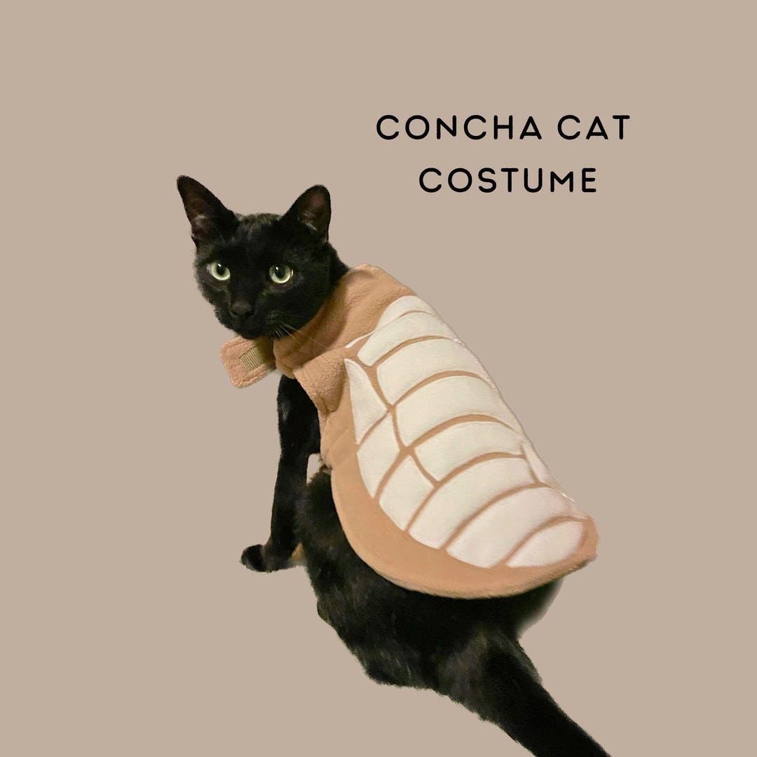 Cat Concha Costume, Concha Pan Dulce Cat Costume for Halloween, Pet ...