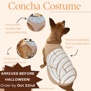 Dog Concha Costume, Concha Pan Dulce Dog Costume for Halloween, Pet ...