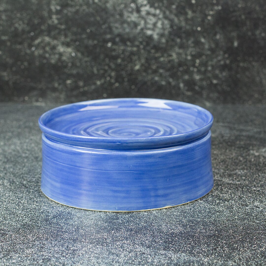 Ceramic Whisker Fatigue Cat Dog Food Bowl, Elderly Cat Friendly ...