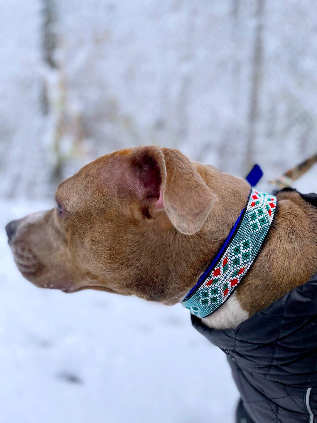 Beaded Dog Collar, Turquoise Metallic Pet Bead Choker, Native America ...