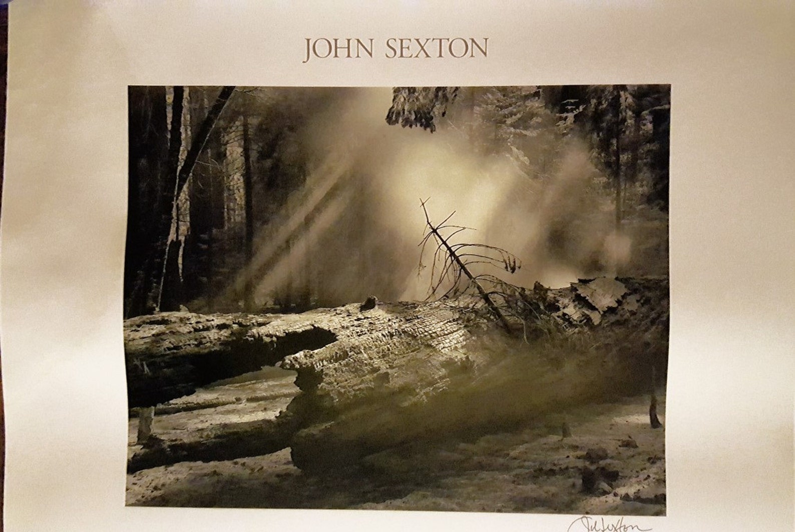 John Sexton SIGNED Poster listen to the Trees 1994 - Etsy