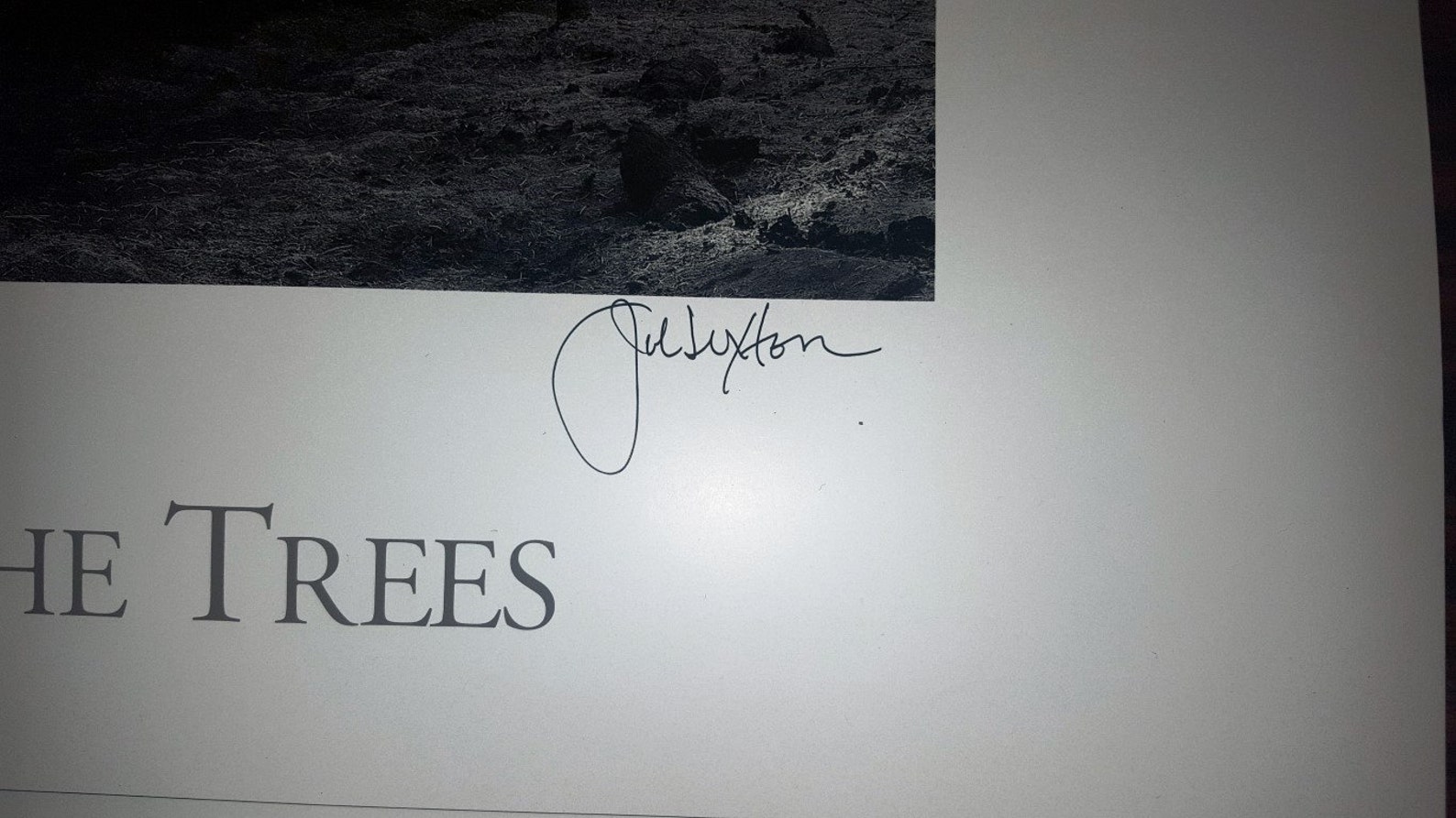John Sexton SIGNED Poster listen to the Trees 1994 - Etsy