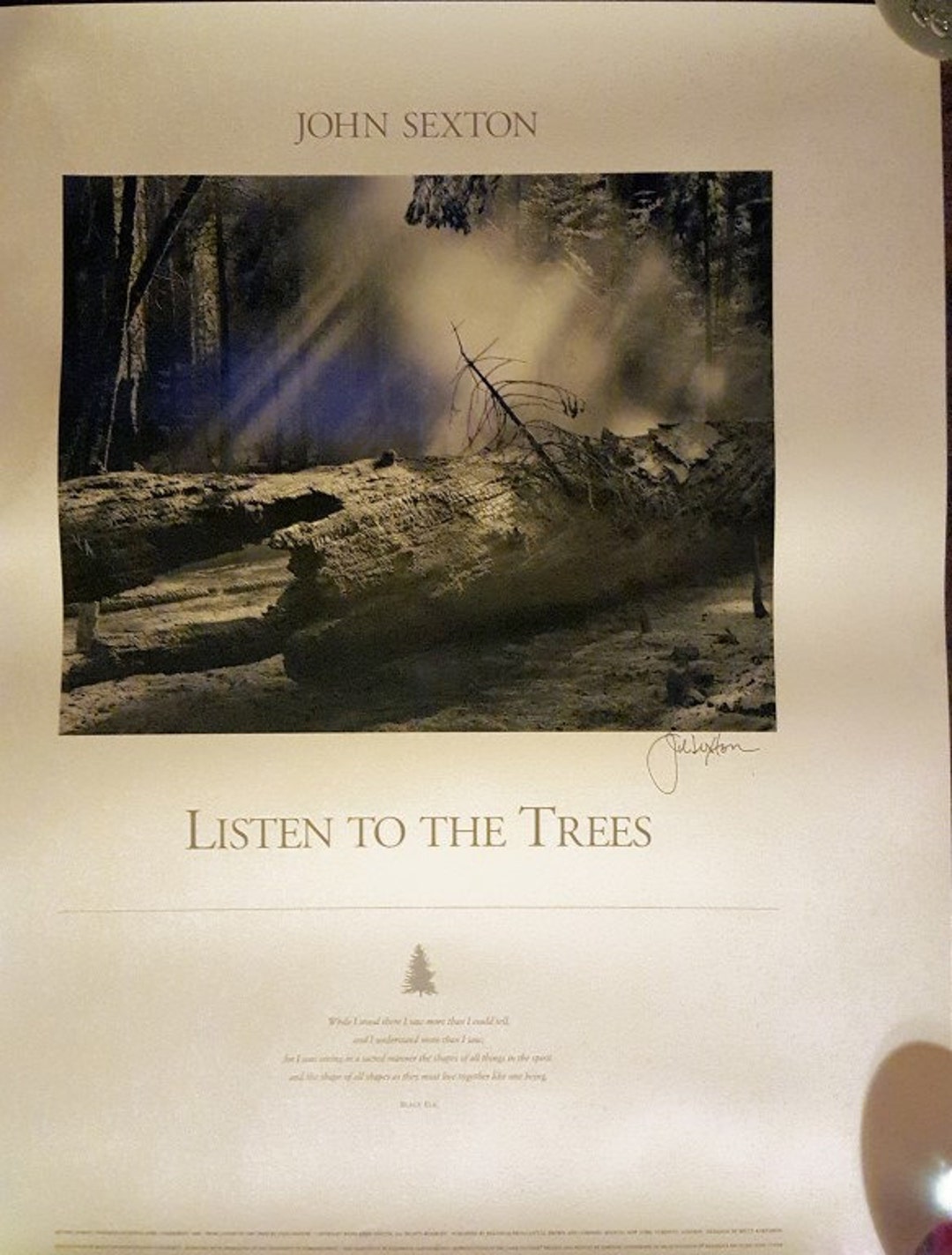 John Sexton SIGNED Poster "listen to the Trees" 1994 Yosemite National ...