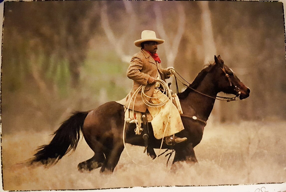 David Stoecklein Store