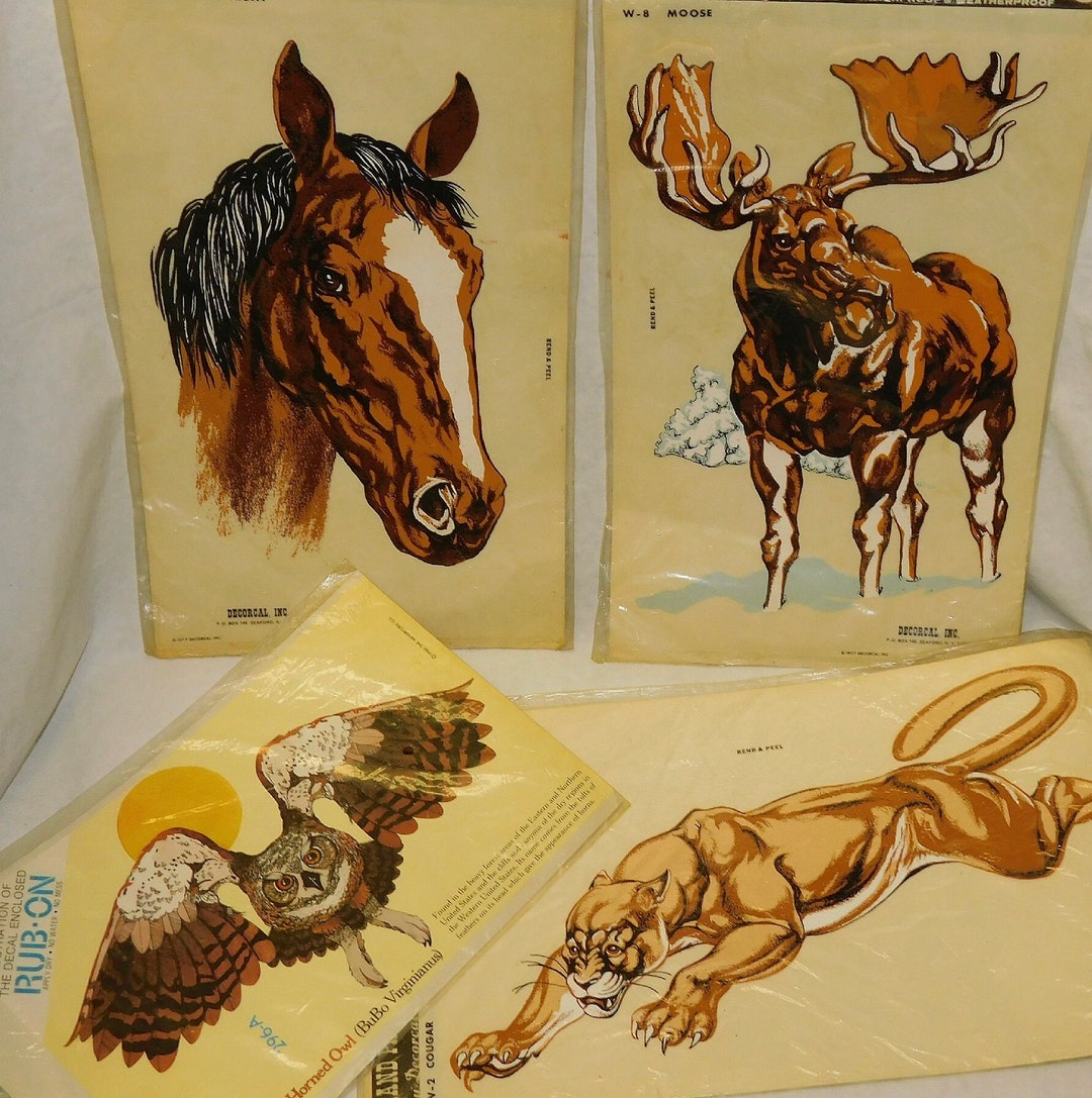 1977 Hand Painted Wildlife Decals ~ 9 1/2 X 16" COUGAR Horse Head MOOSE ...