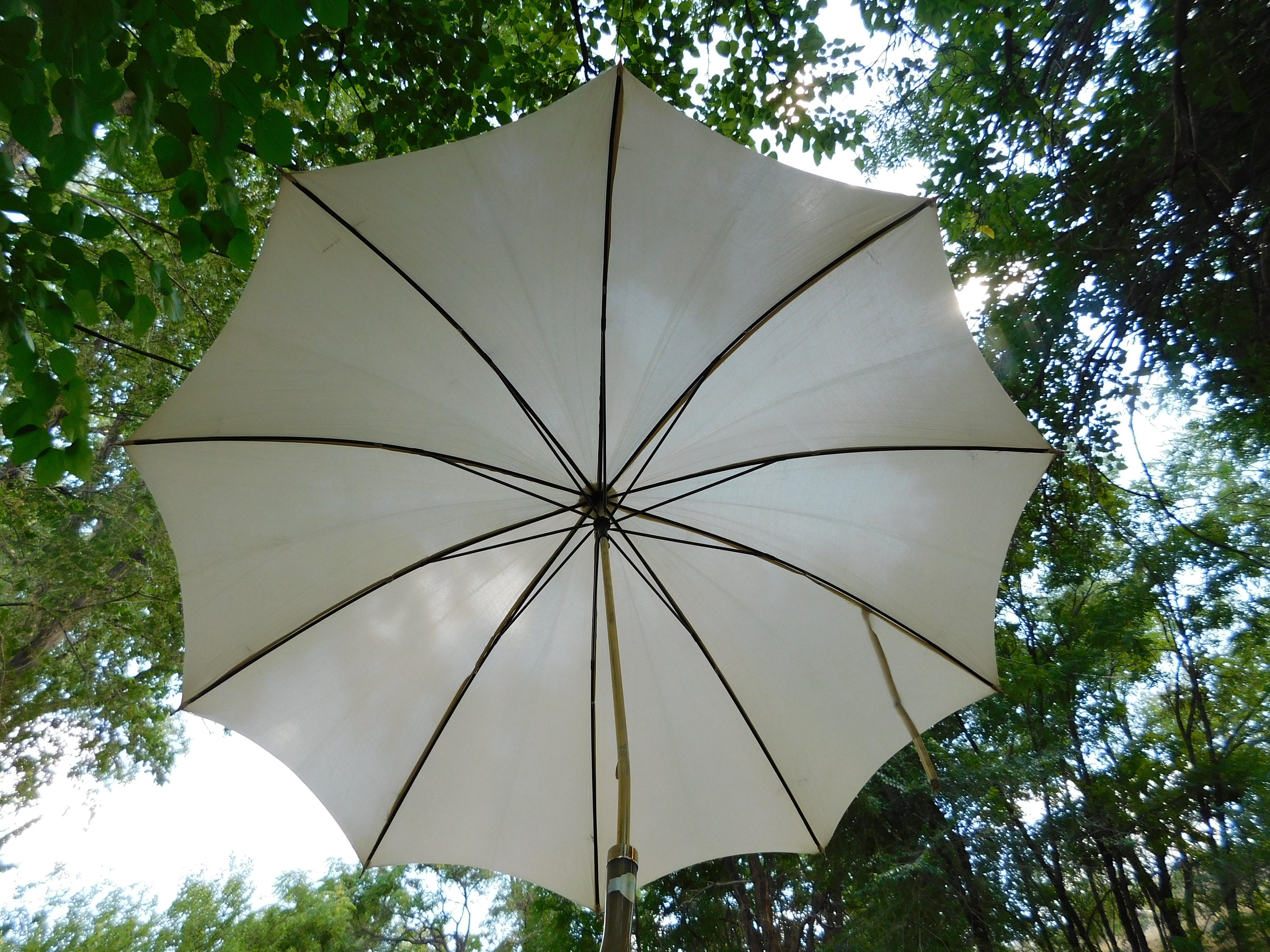 Vintage Italian Parasol BIANCARDI ORIGINAL Walking Stick W/ - Etsy