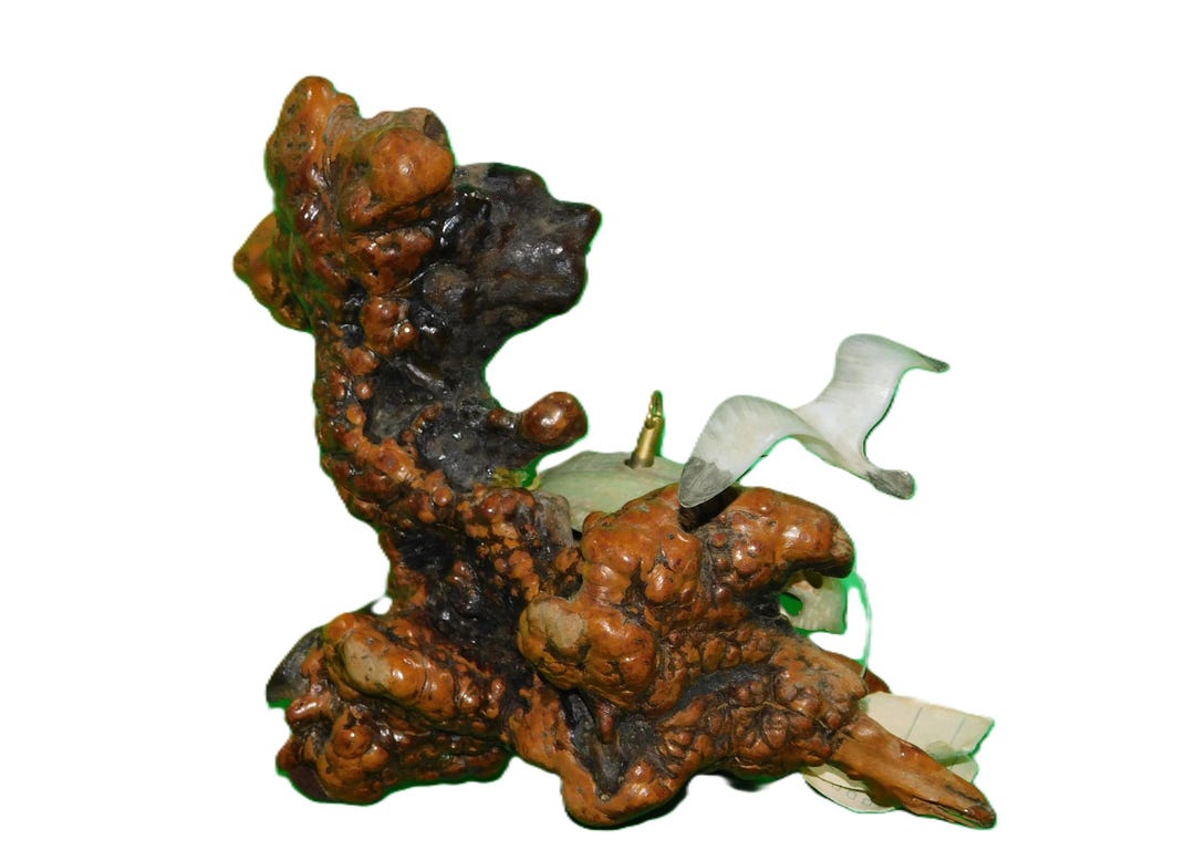 Signed O'curry's Musical Seashell Sculpture: Burl Wood & Abalone Shell ...