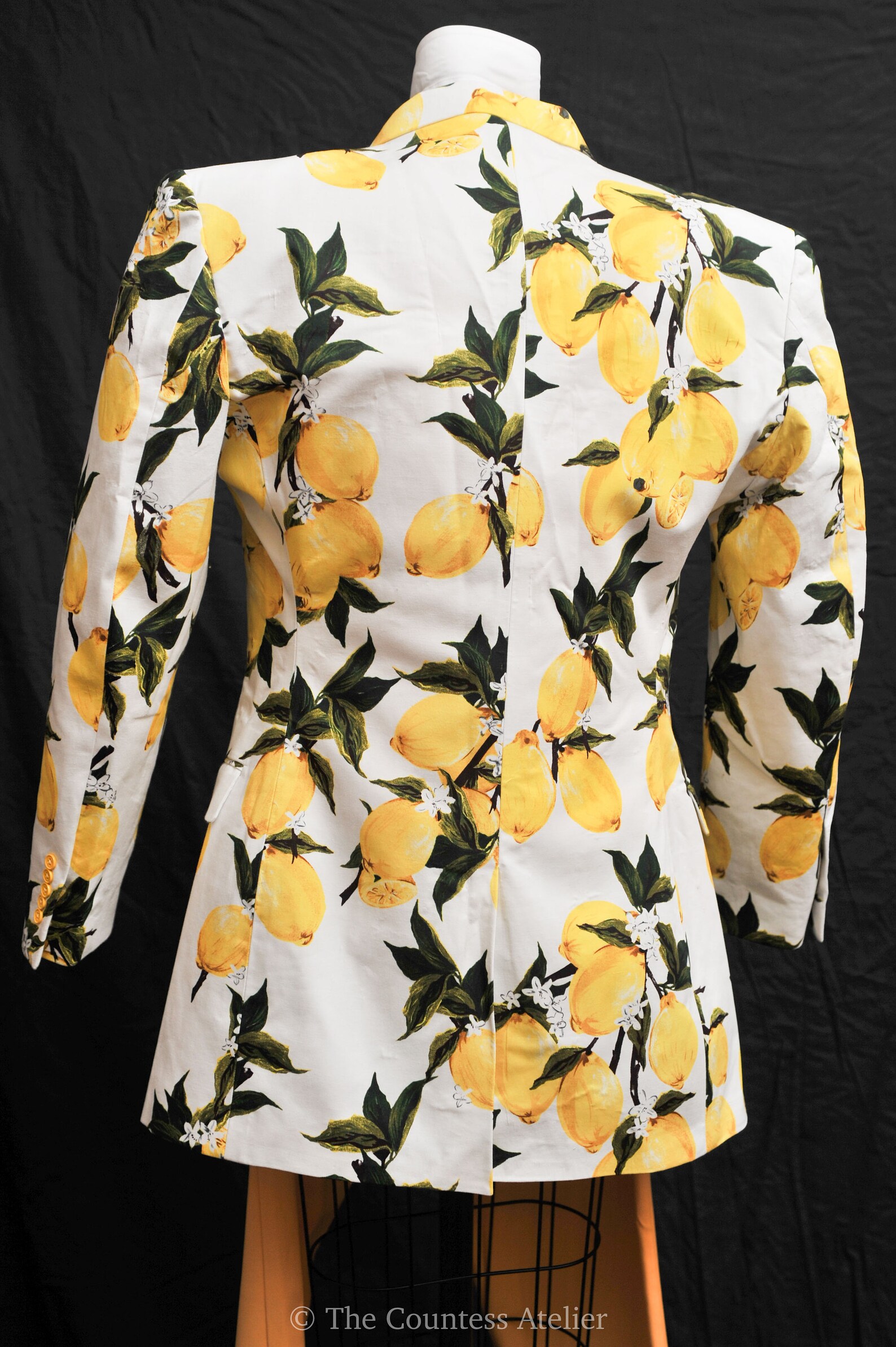 Tutti Frutti Costume Mister Lemon Costume Limoncello - Etsy