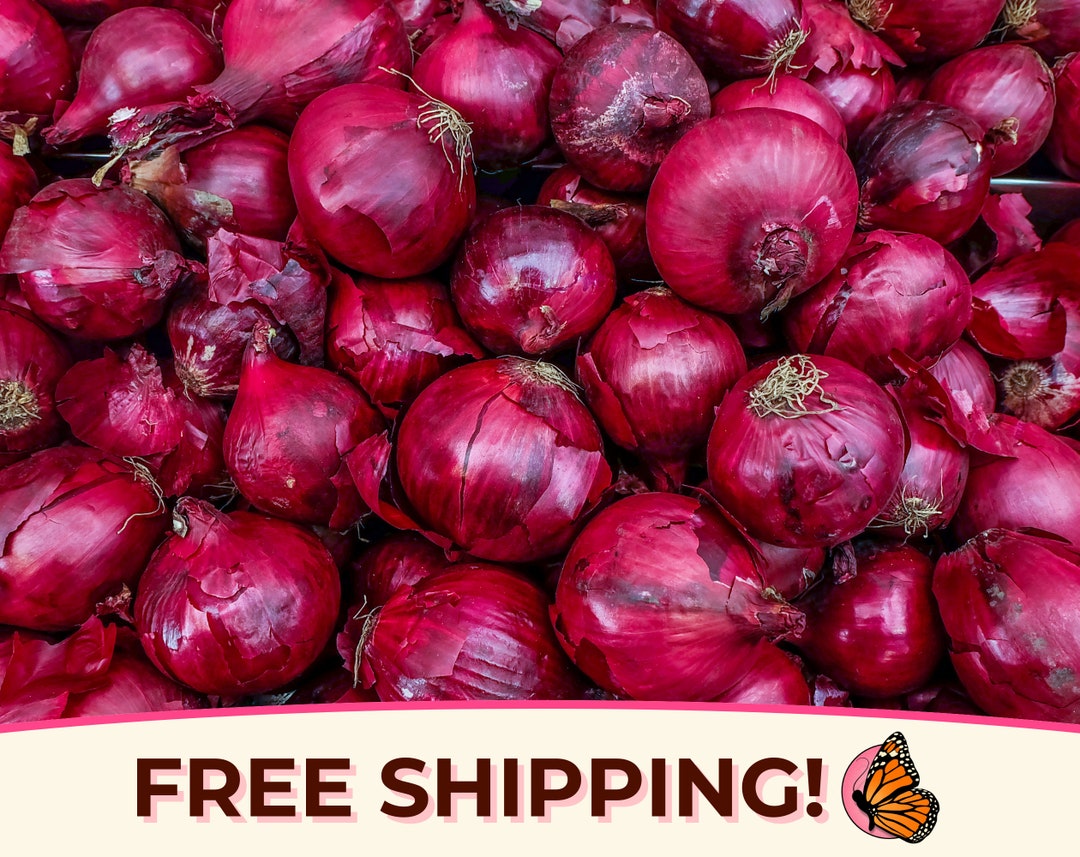 750+ Onion Seeds 'red Creole' | Heirloom, Non-gmo, Vegetable Gardening ...