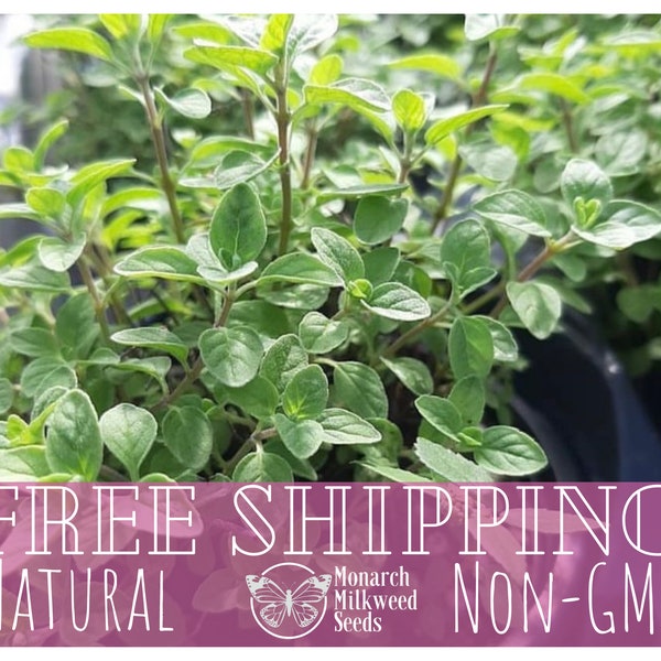 Marjoram - Etsy