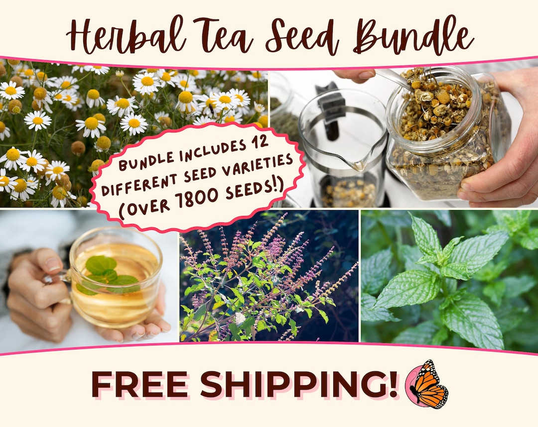 HERBAL TEA Seed Bundle | 12 Unique Seed Packets for Growing Your Own ...
