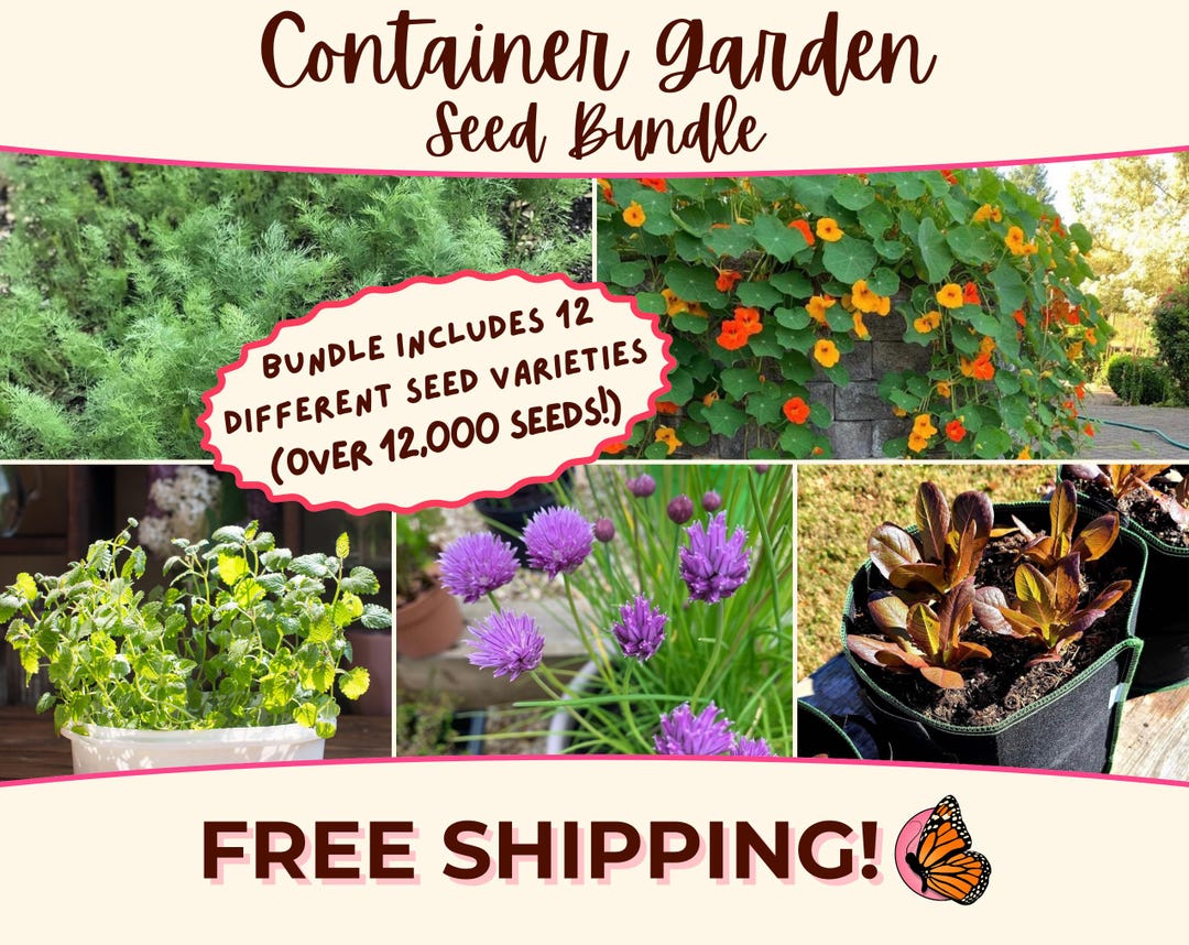 CONTAINER GARDEN Seed Bundle | 12 Unique Seed Packets for Growing ...
