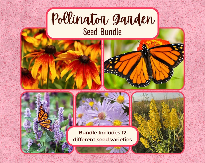 POLLINATOR GARDEN Seed Bundle | 12 Unique Seed Packets for Native ...