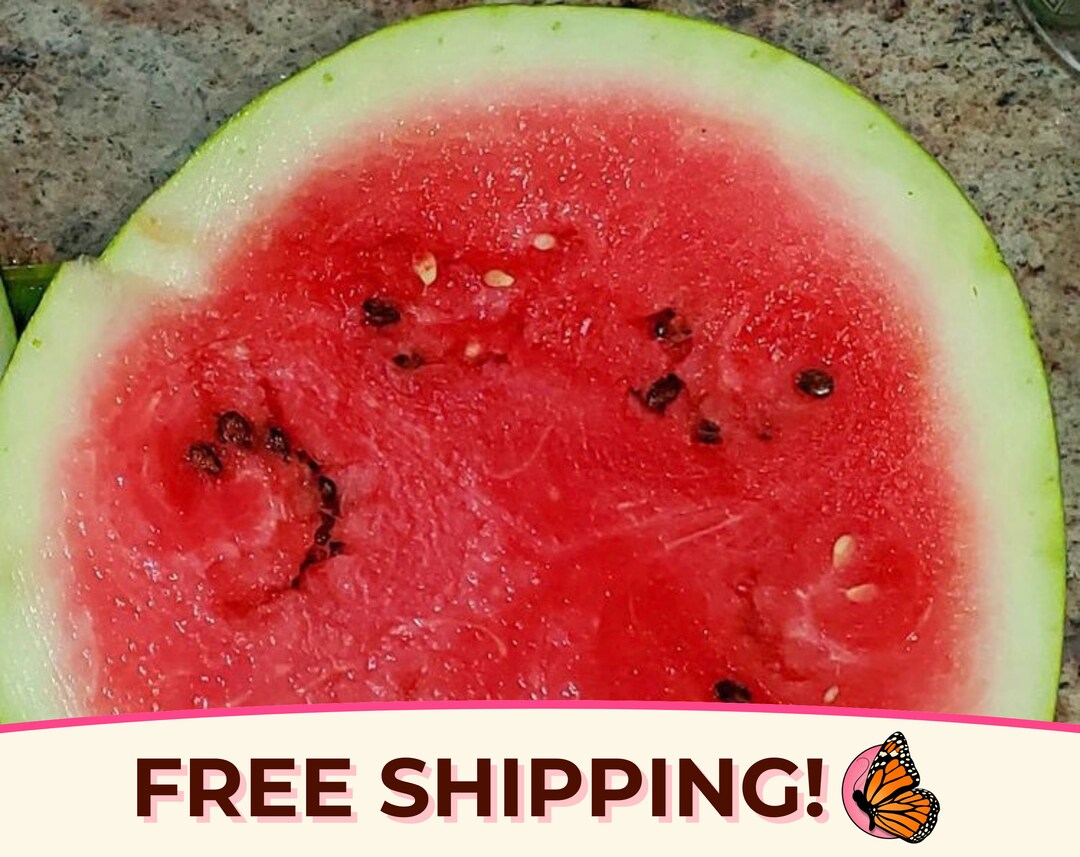 55+ Watermelon Seeds 'crimson Sweet' | Non-gmo, Heirloom, Vegetable ...