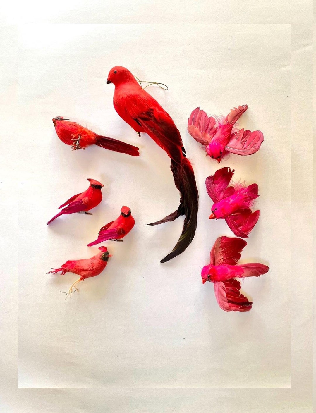 Vintage Feather Bird Ornaments: Cardinal & Bird of Paradise Christmas ...