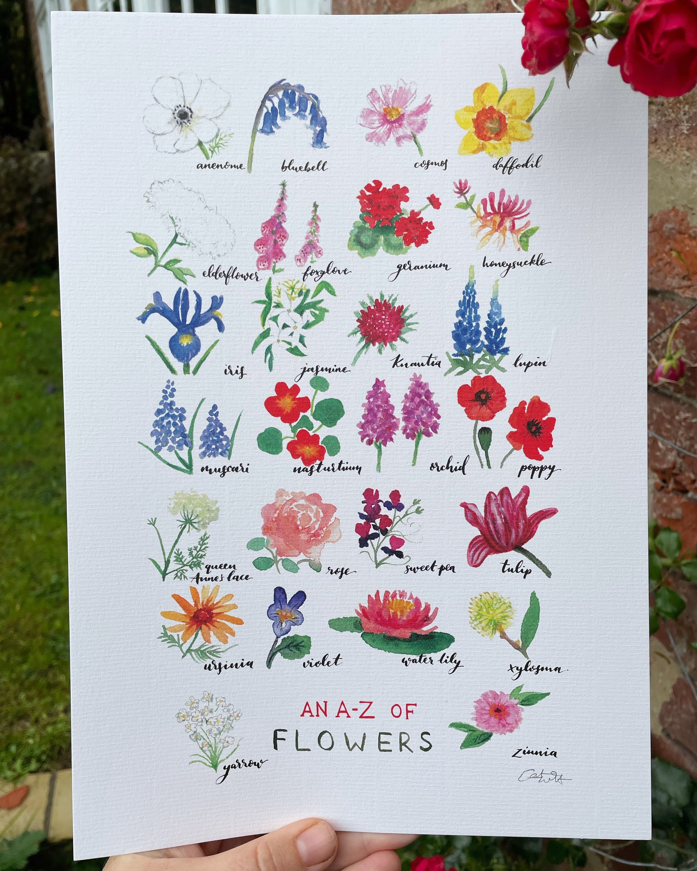 A4 Flower Alphabet A Z of Flowers Watercolour Print by | Etsy