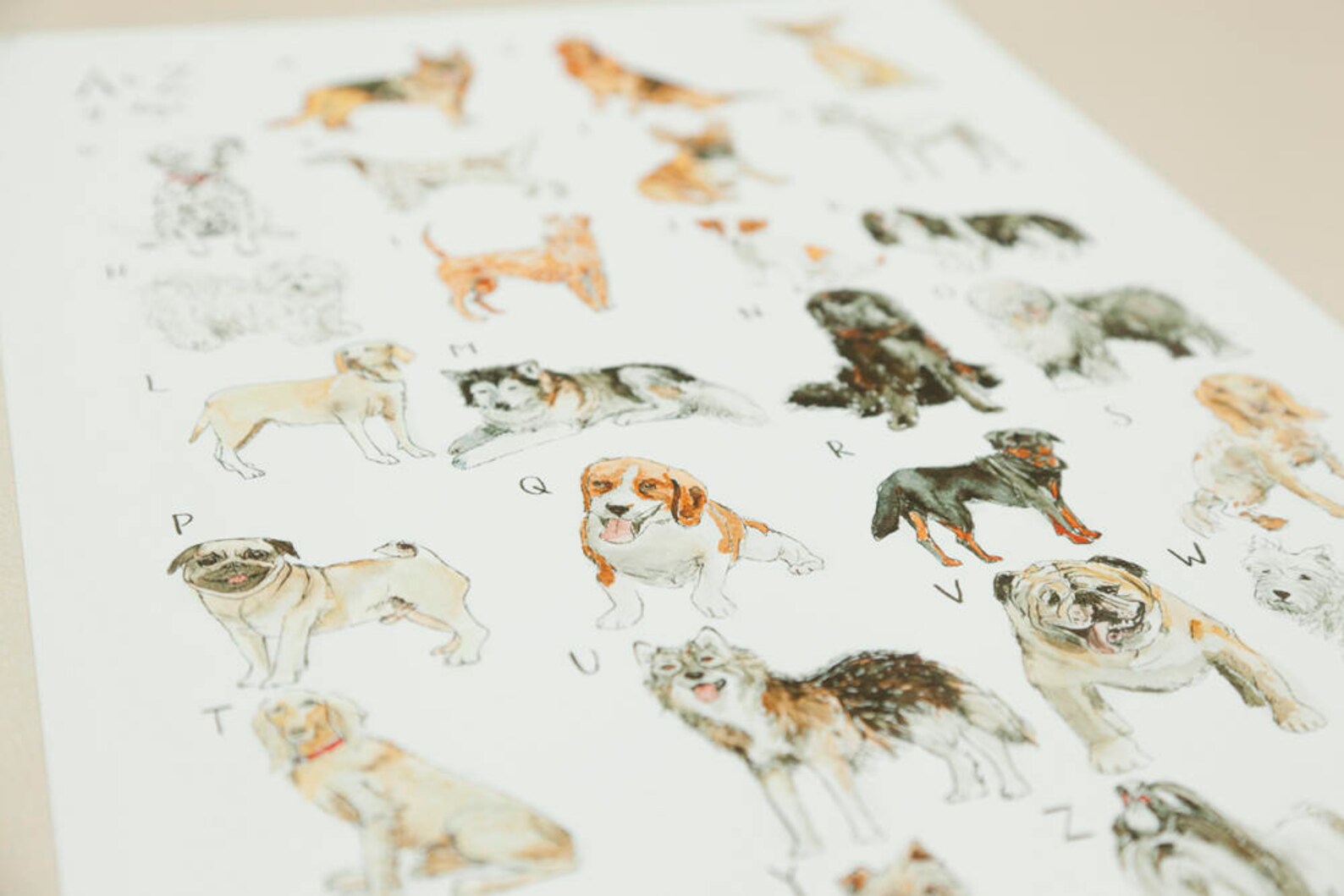A3 A to Z of Dogs Giclée Print - Etsy