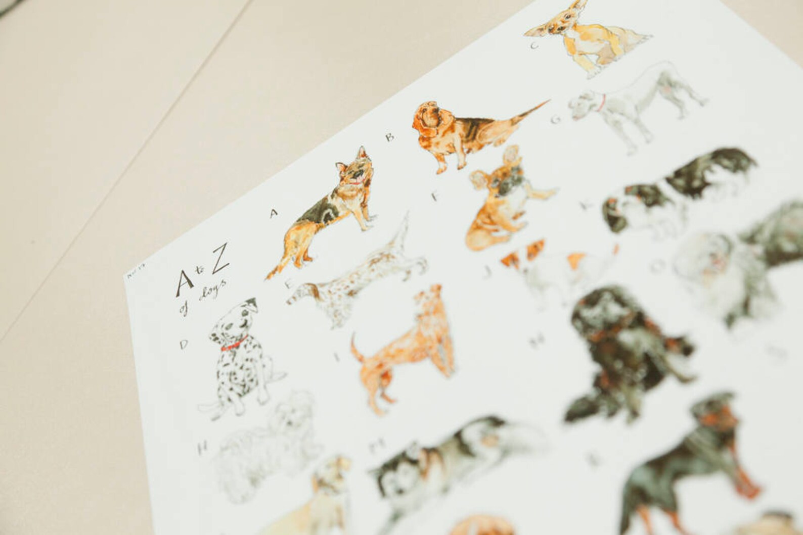 A3 A to Z of Dogs Giclée Print - Etsy