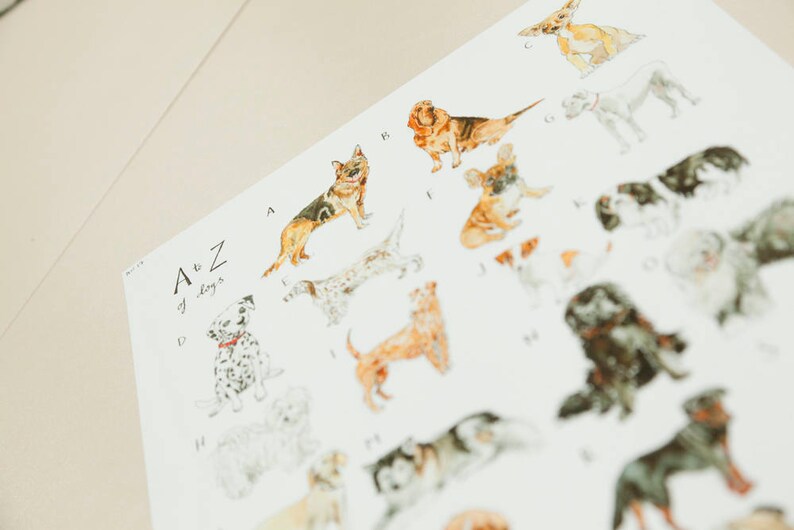 A3 A to Z of Dogs Giclée Print - Etsy