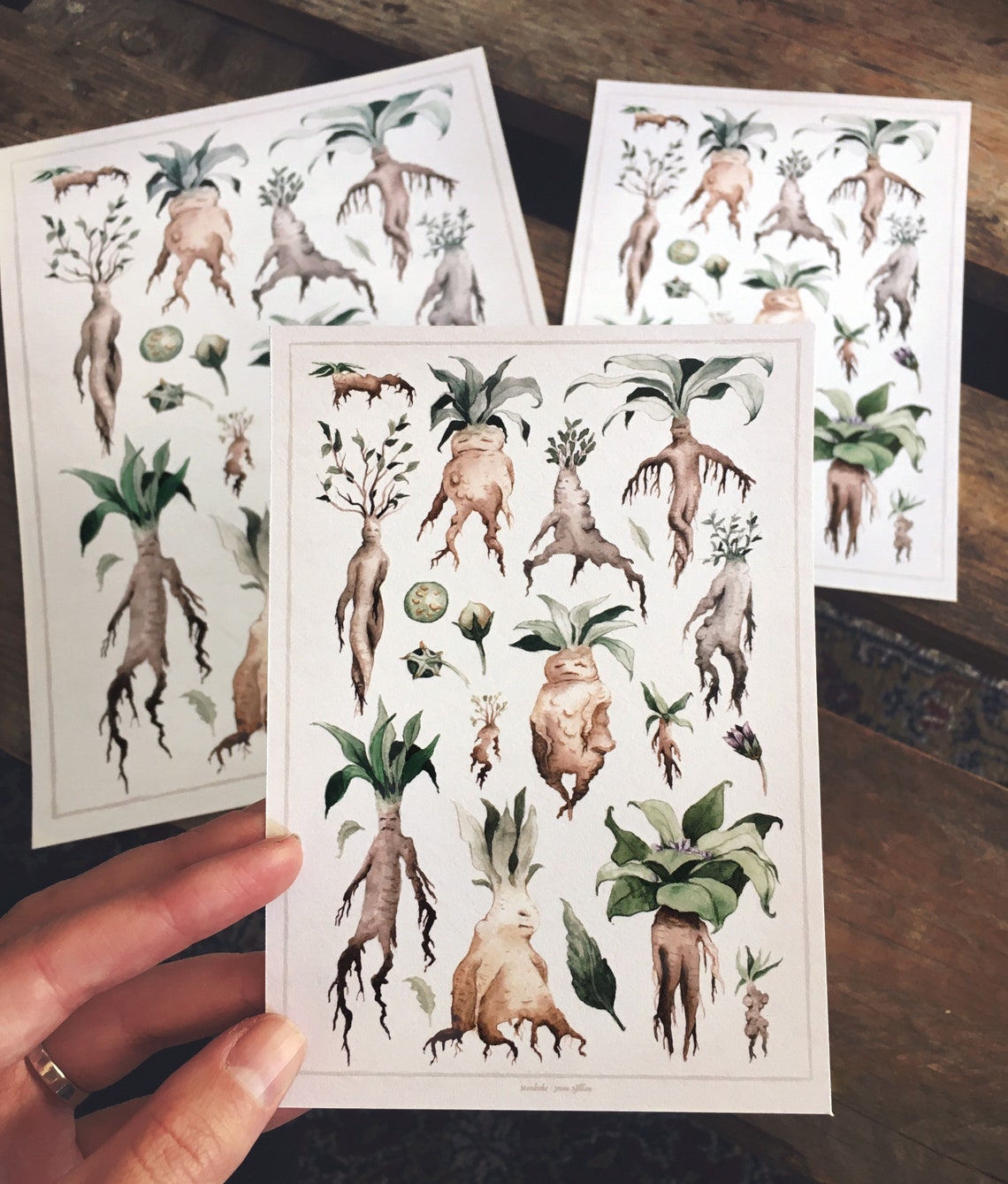 Mandrake, Watercolor, Art Print. - Etsy