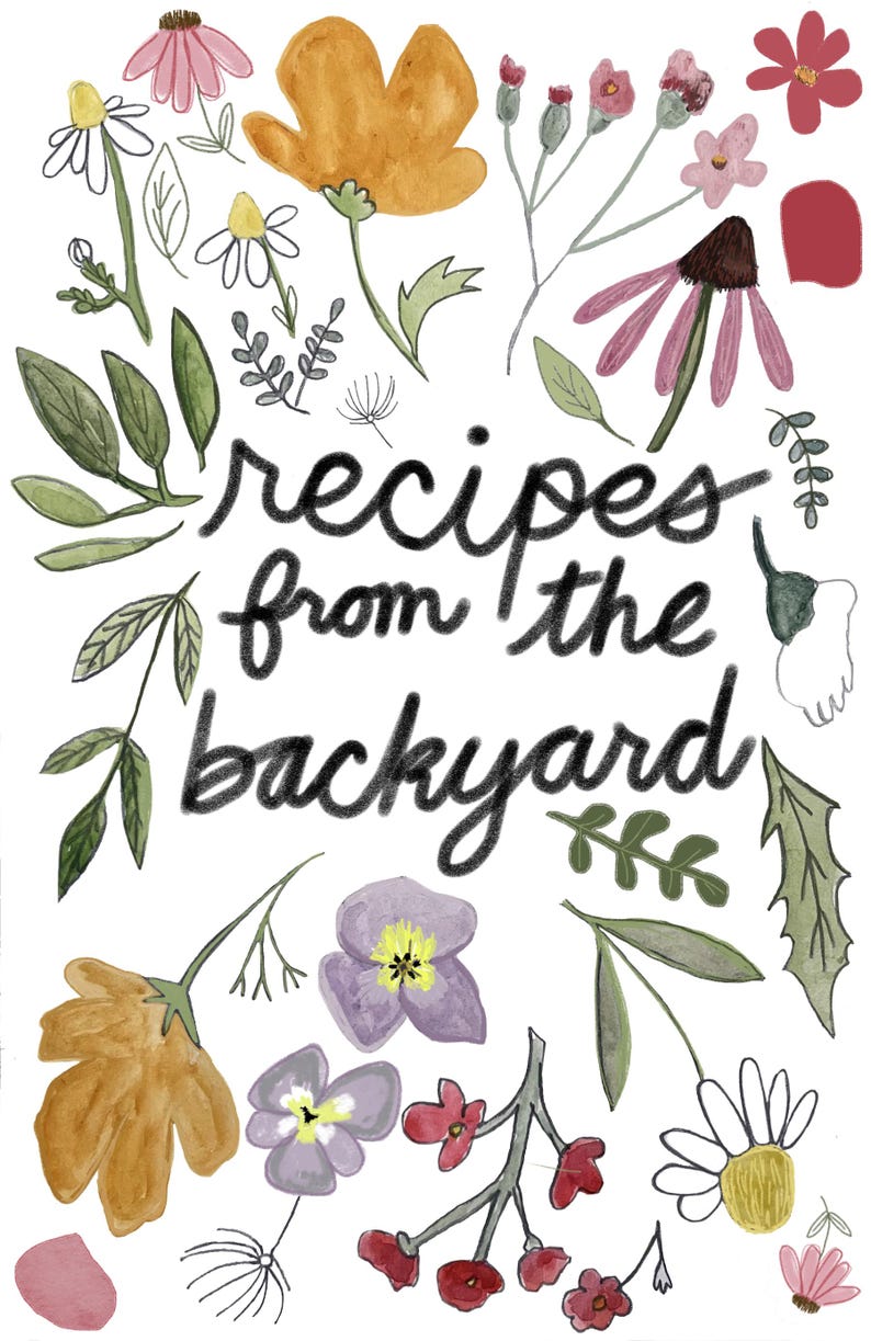 Edible Flowers Recipe Cards - Set of Six - Etsy