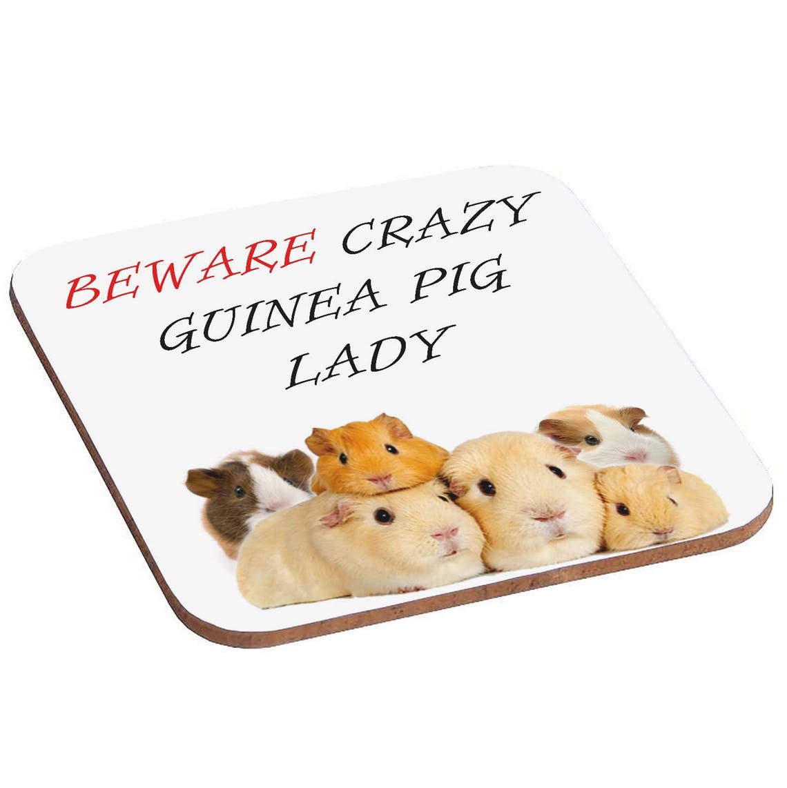 Crazy Guinea Pig Lady Mug Coaster Set Mum Mom Gran Sister Wife ...