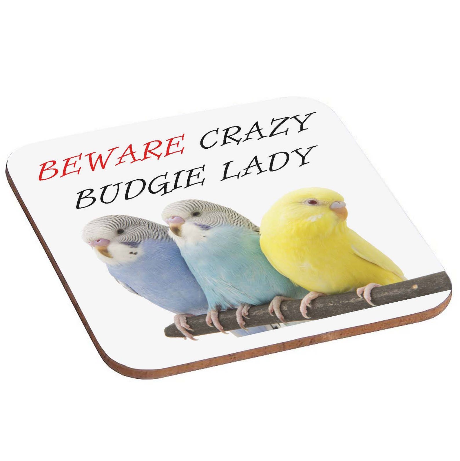 Crazy Budgie Lady Mug & Coaster Set Mum Mom Gran Sister Wife Girlfriend Birthday, Funny Coffee ...