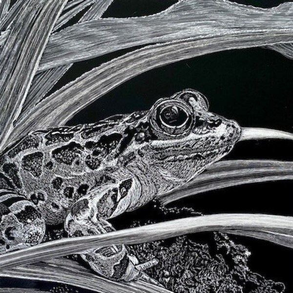Scratchboard Art - Etsy