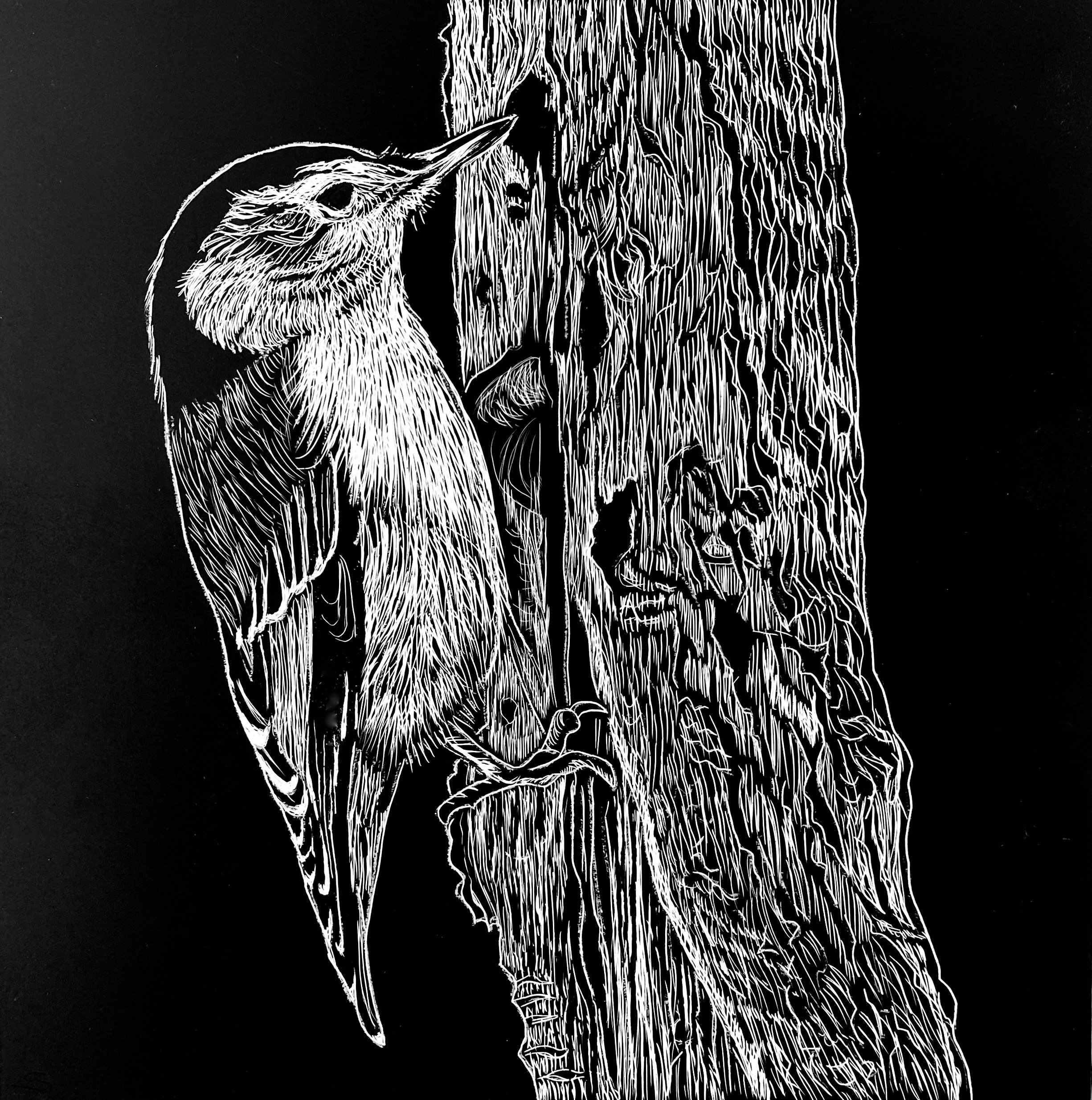 Scratchboard Art Tree