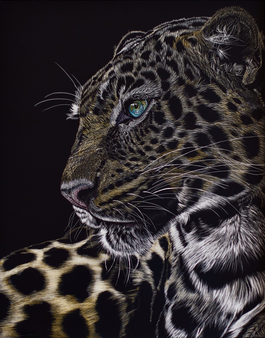 Leopard Scratchboard Art Print Reproduction - Etsy