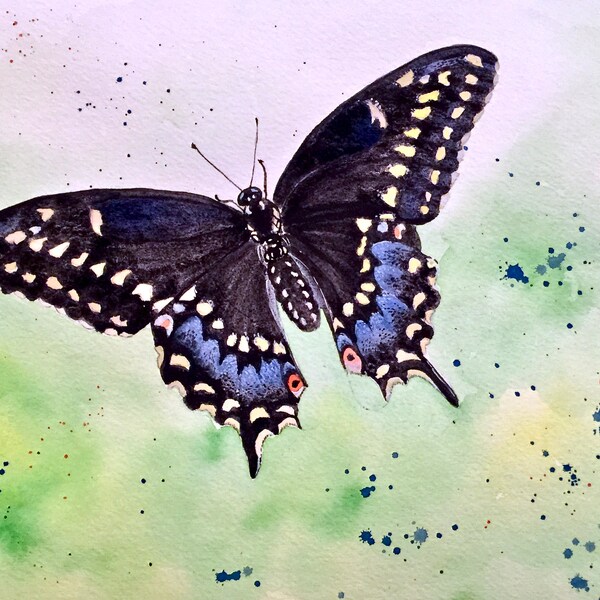 Swallowtail - Etsy